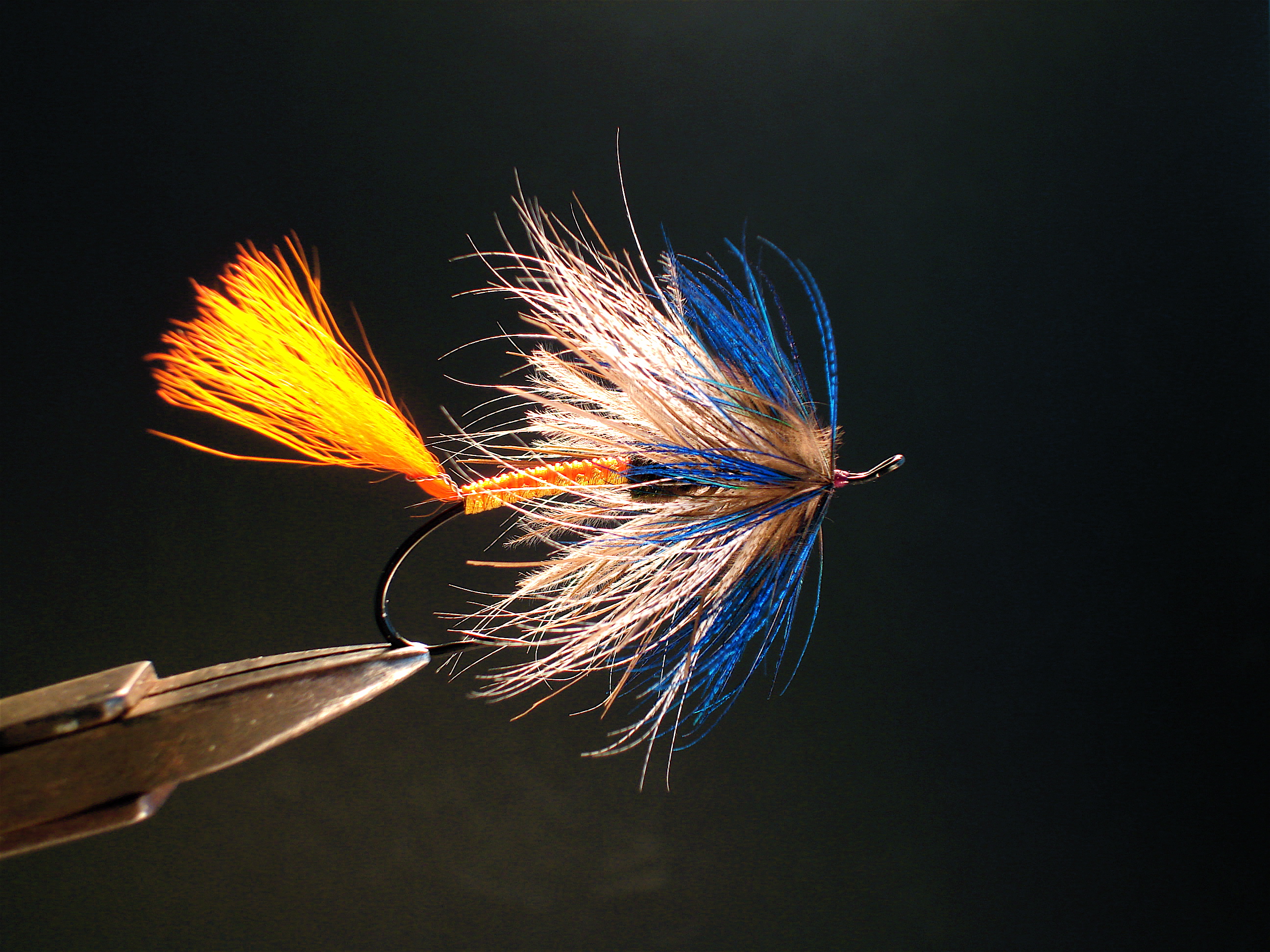 Other American Tyers